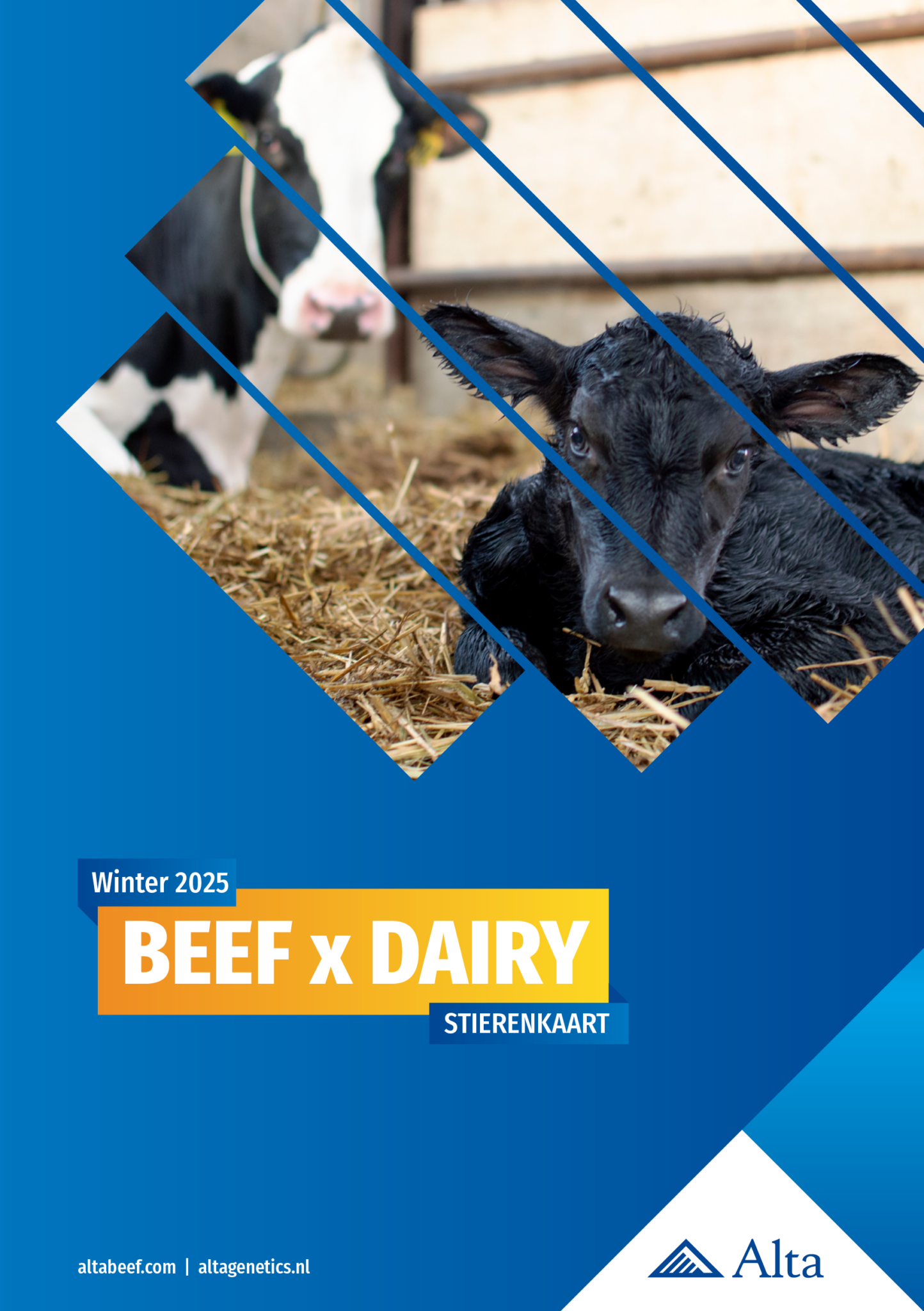 STIERENKAART - Alta Genetics